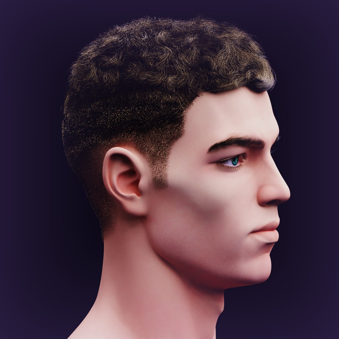 Nicolas Realistic Head 3D Model - TurboSquid 2237200