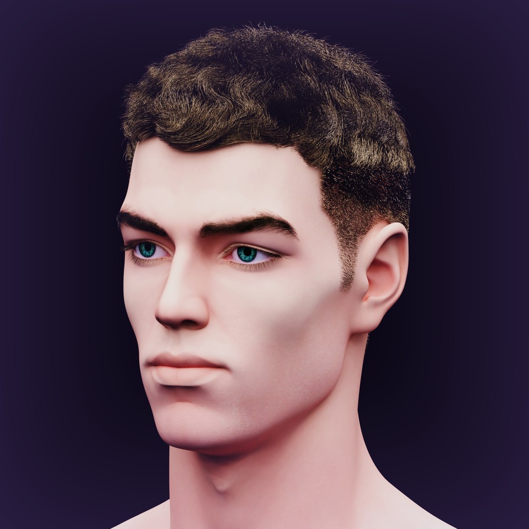 Nicolas Realistic Head 3D Model - TurboSquid 2237200