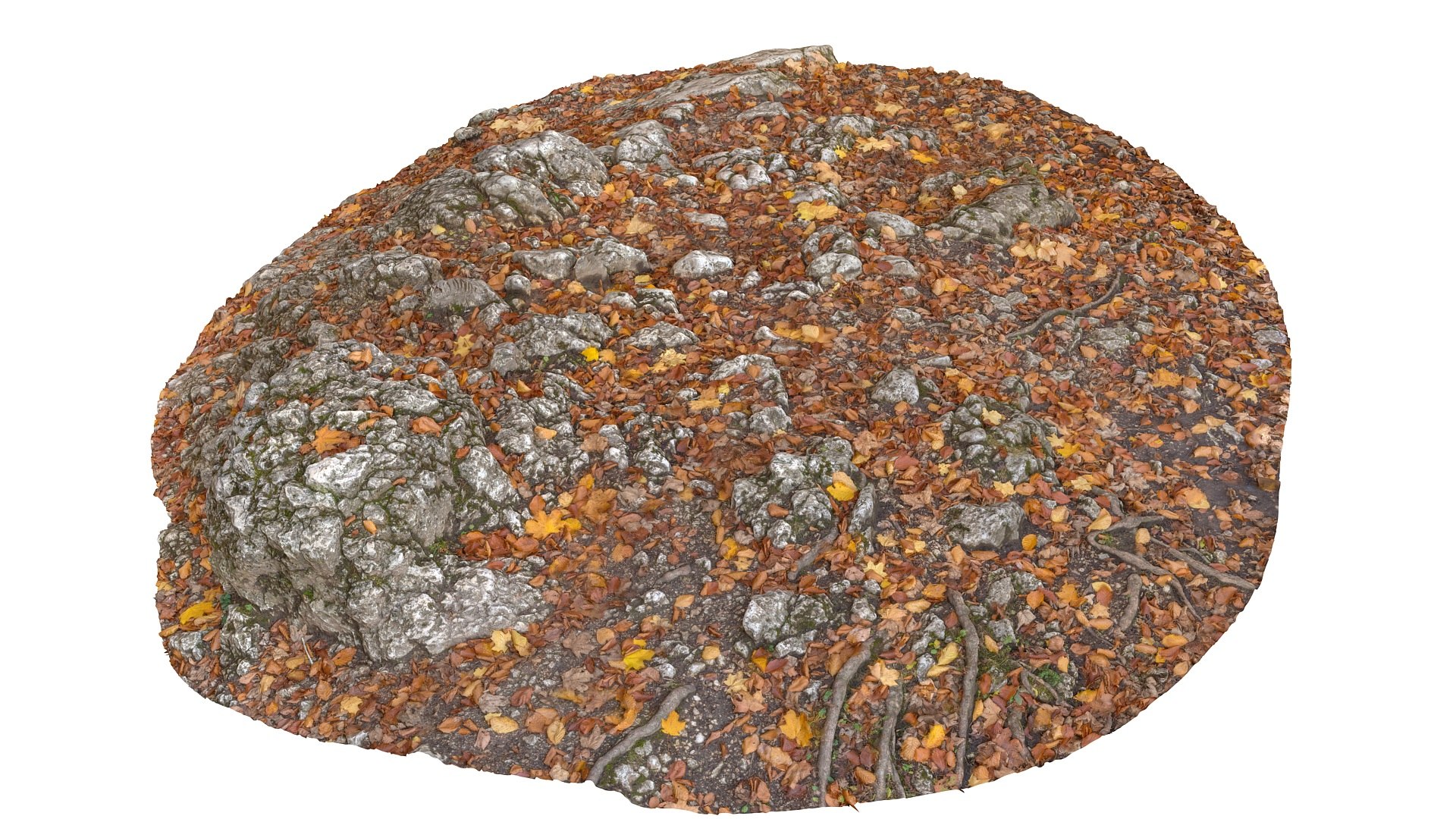 Obj Rock Ground Forest Autumn