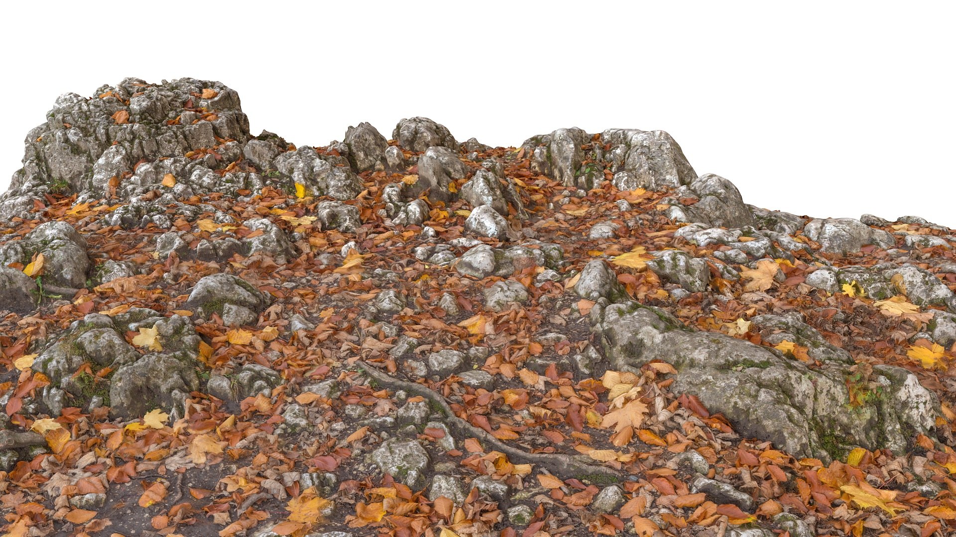 Obj Rock Ground Forest Autumn