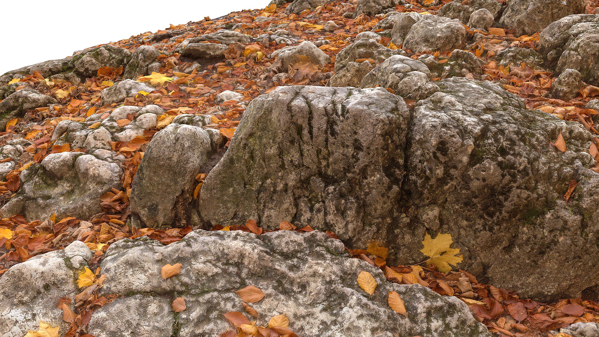 Obj Rock Ground Forest Autumn