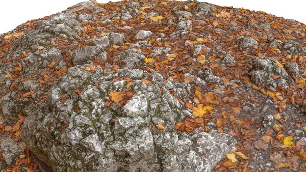 obj rock ground forest autumn
