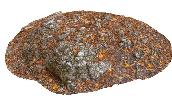 obj rock ground forest autumn