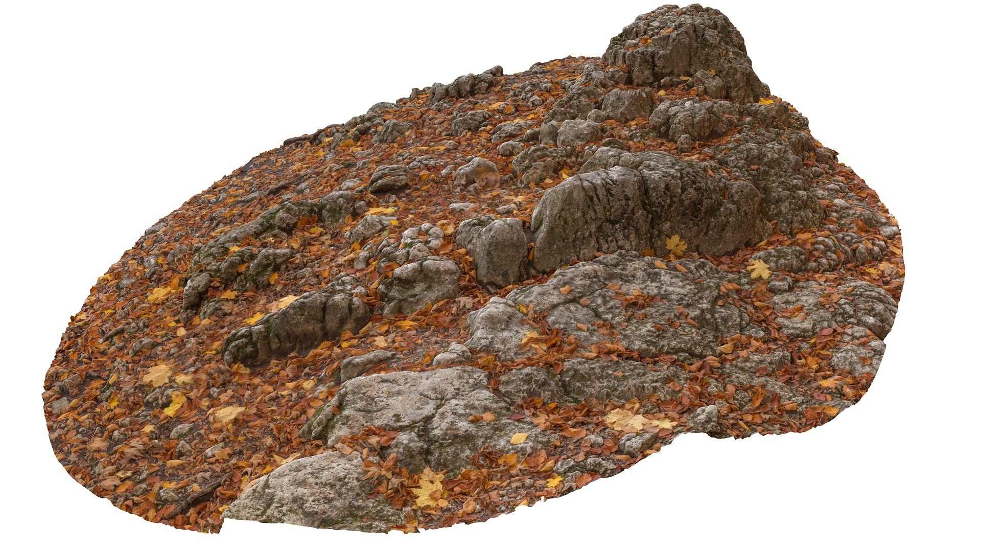 Obj Rock Ground Forest Autumn