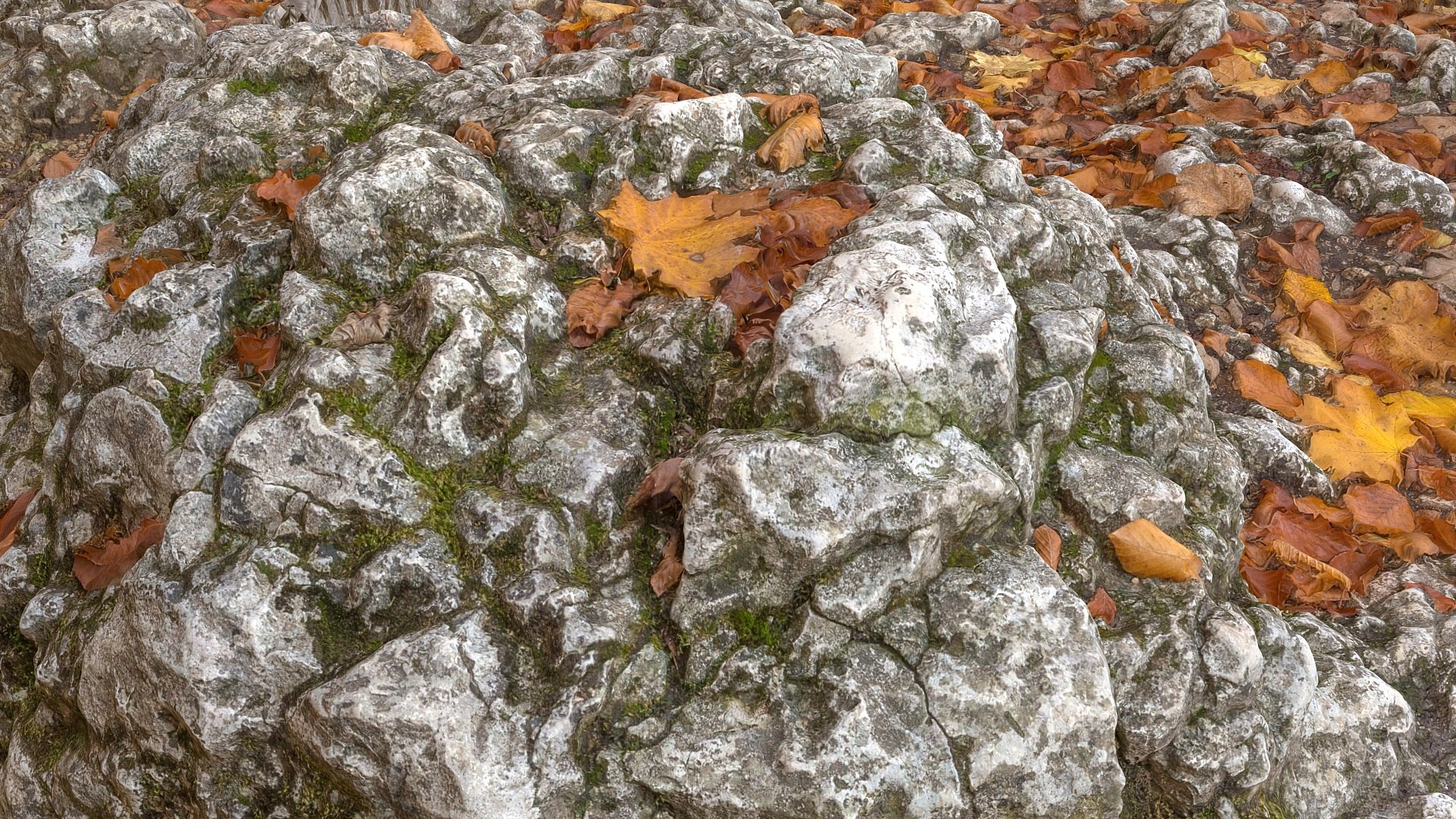Obj Rock Ground Forest Autumn