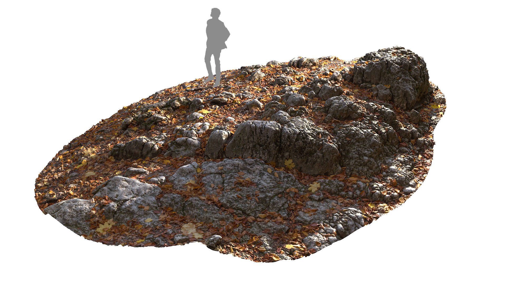 Obj Rock Ground Forest Autumn