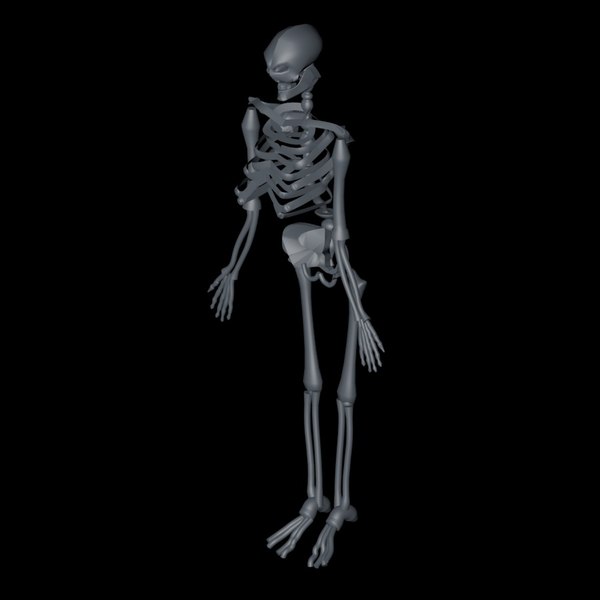 skeleton 3d c4d