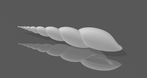 Seashell STL Models for Download | TurboSquid