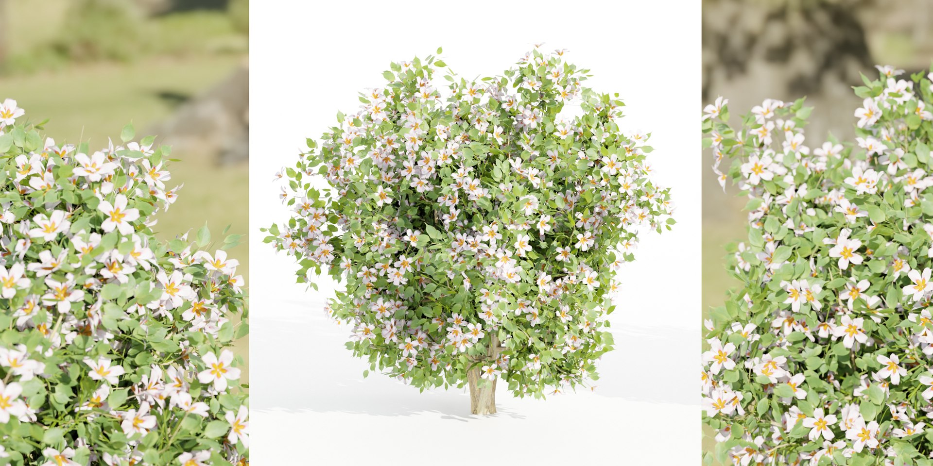 Flowering bushes collection vol 50-Blender 3D model - TurboSquid 2114338