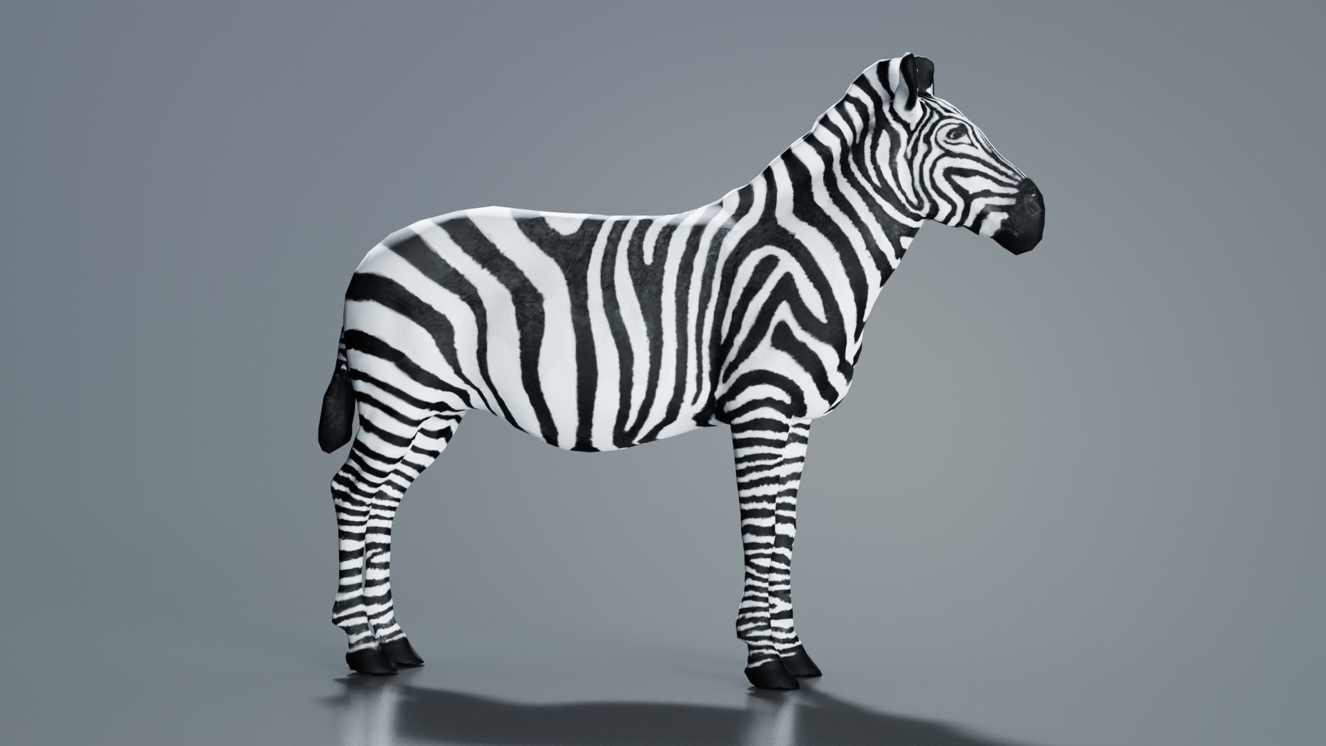 3D Zebra Remastered Model - TurboSquid 2359819