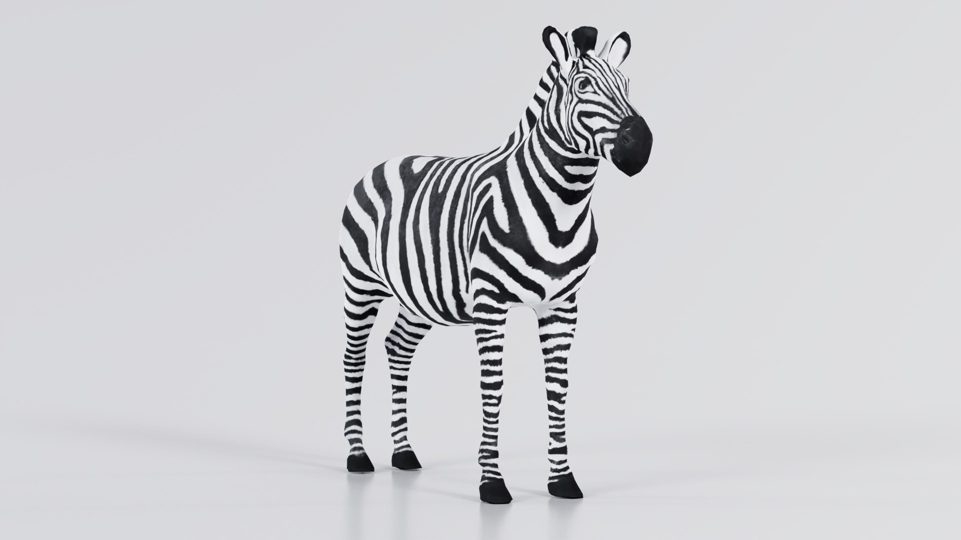 3D Zebra Remastered Model - TurboSquid 2359819