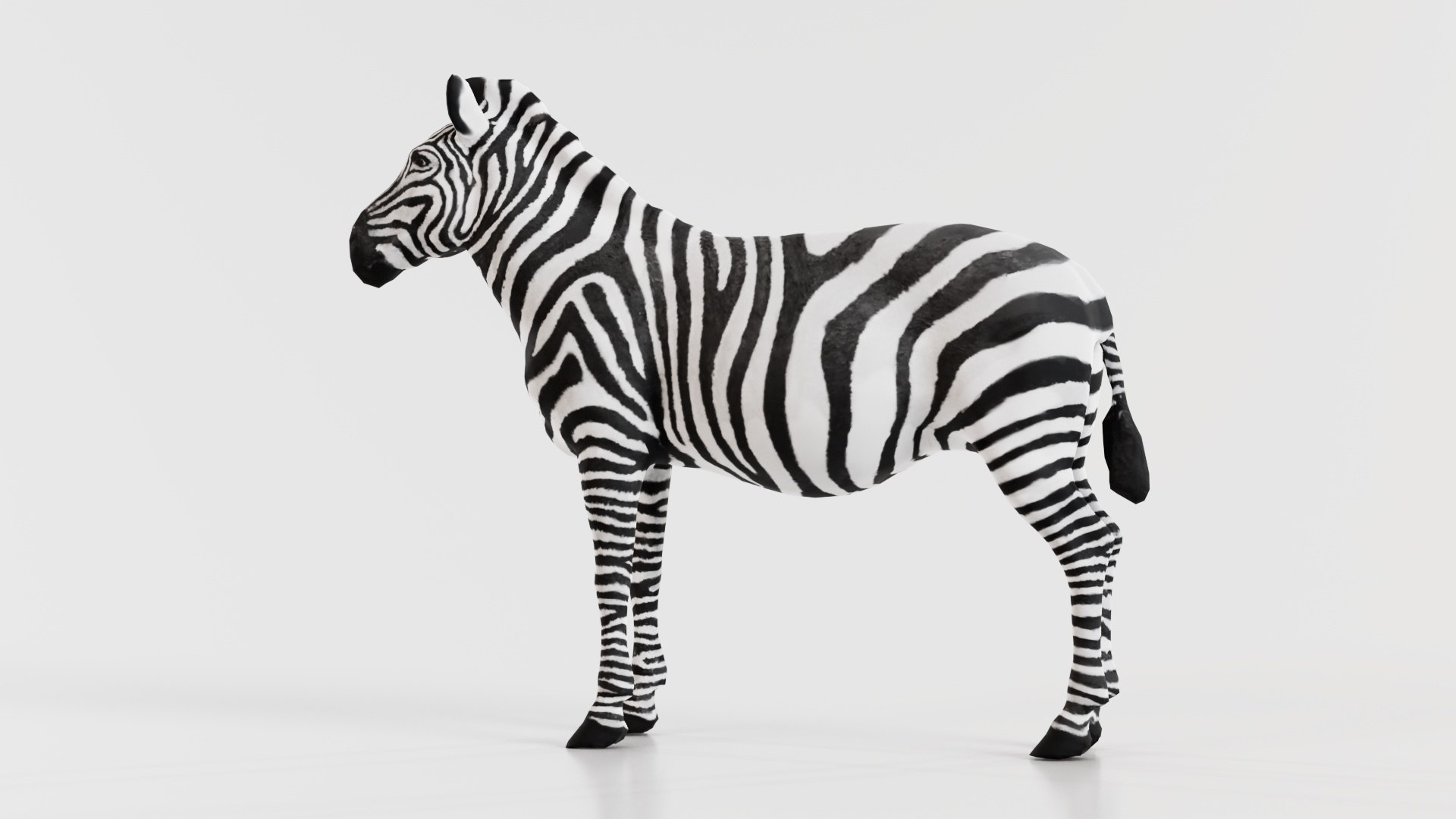 3D Zebra Remastered Model - TurboSquid 2359819