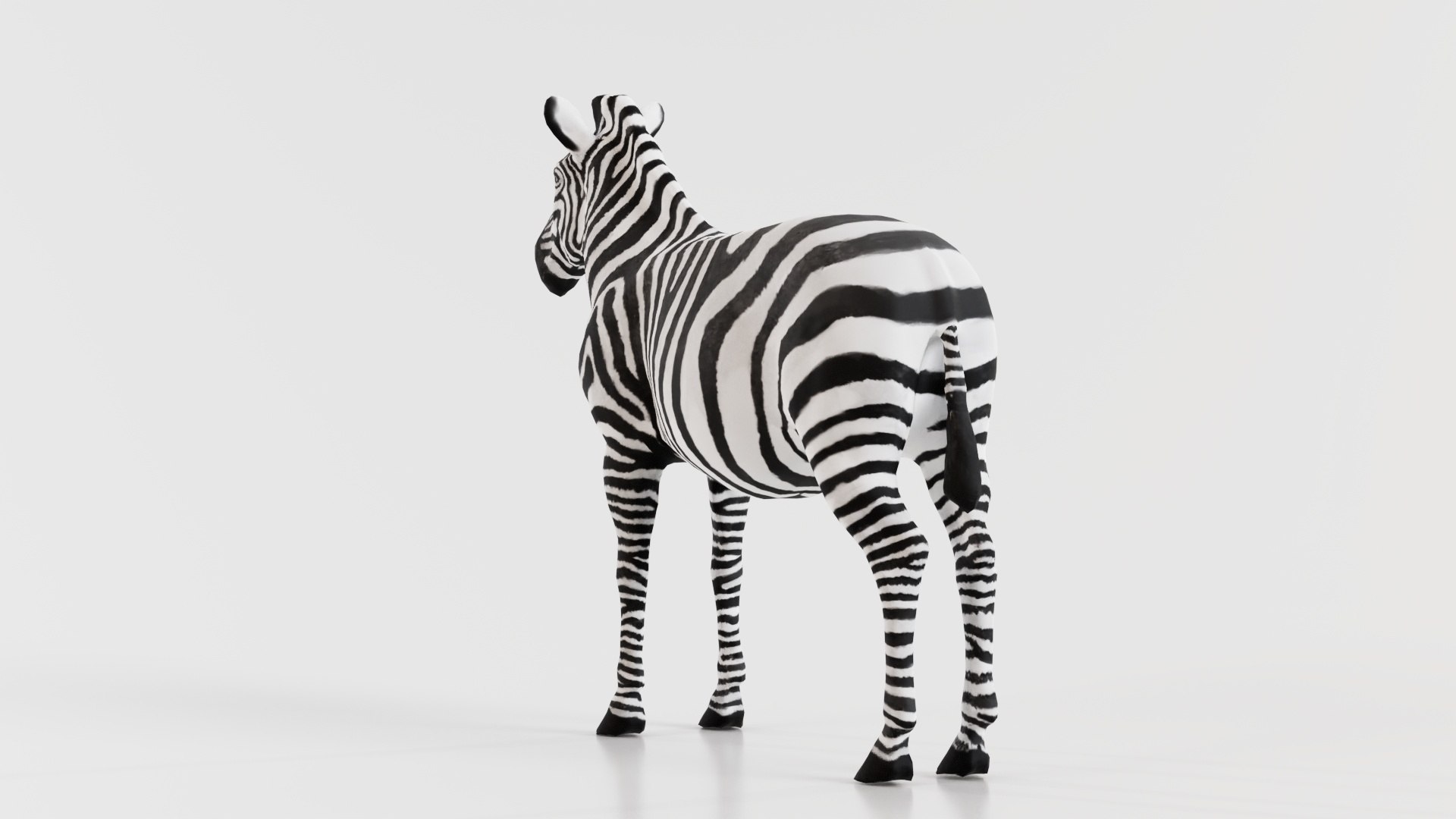 3D Zebra Remastered Model - TurboSquid 2359819