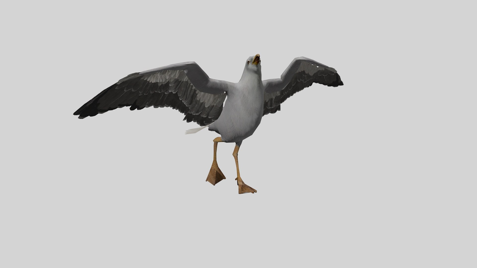 modelo 3d Seagul rigged - TurboSquid 2040916