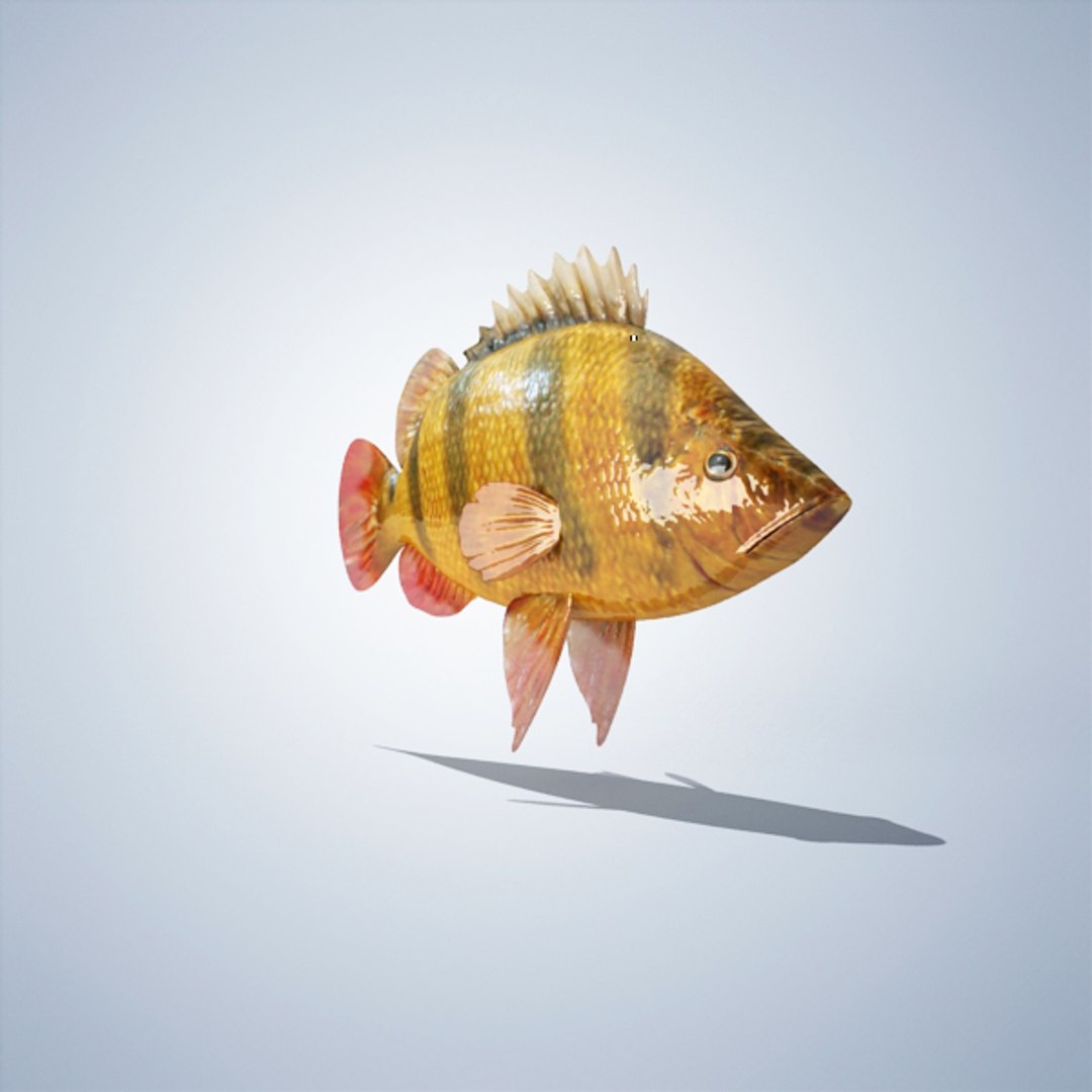 3dsmax Tiger Fish