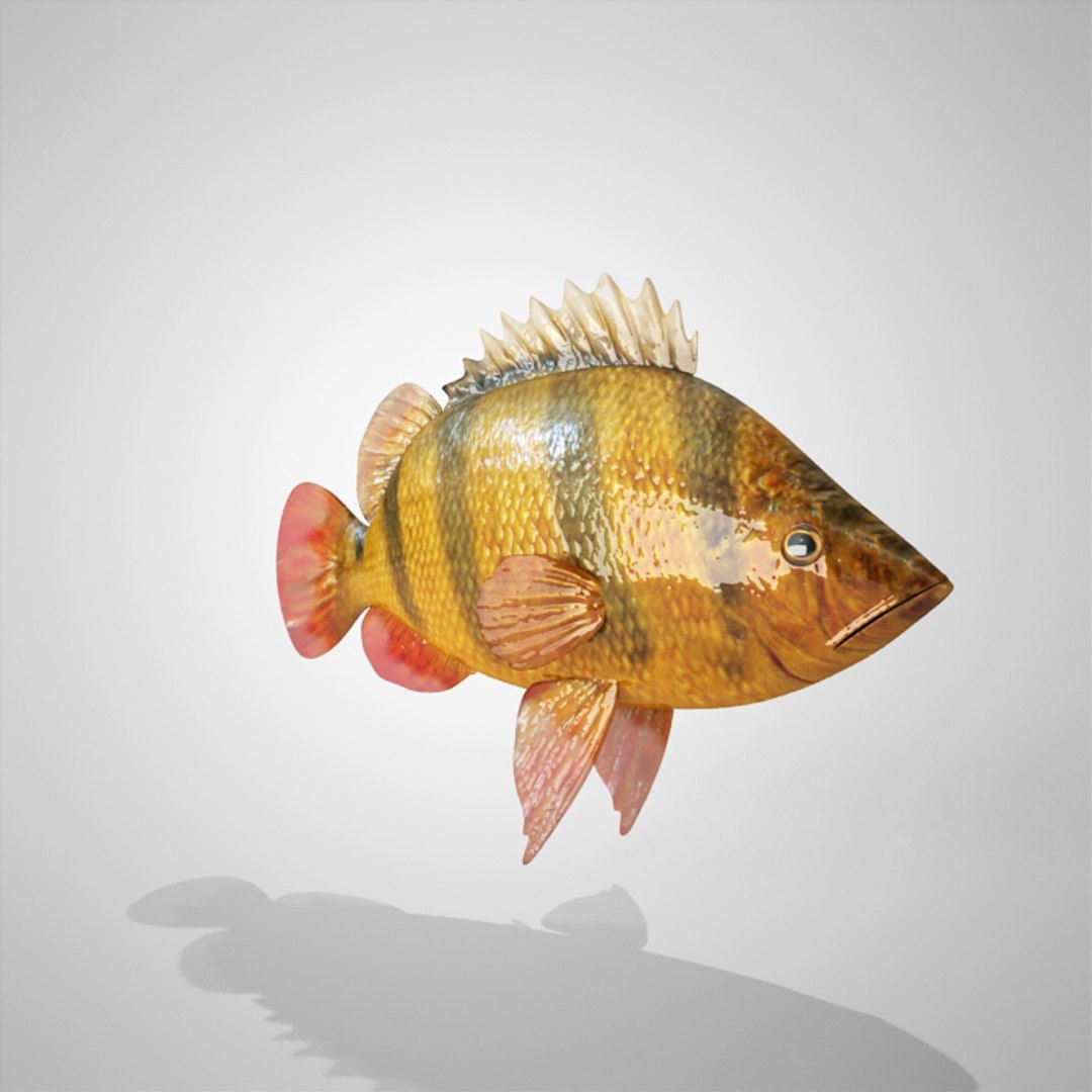 3dsmax Tiger Fish