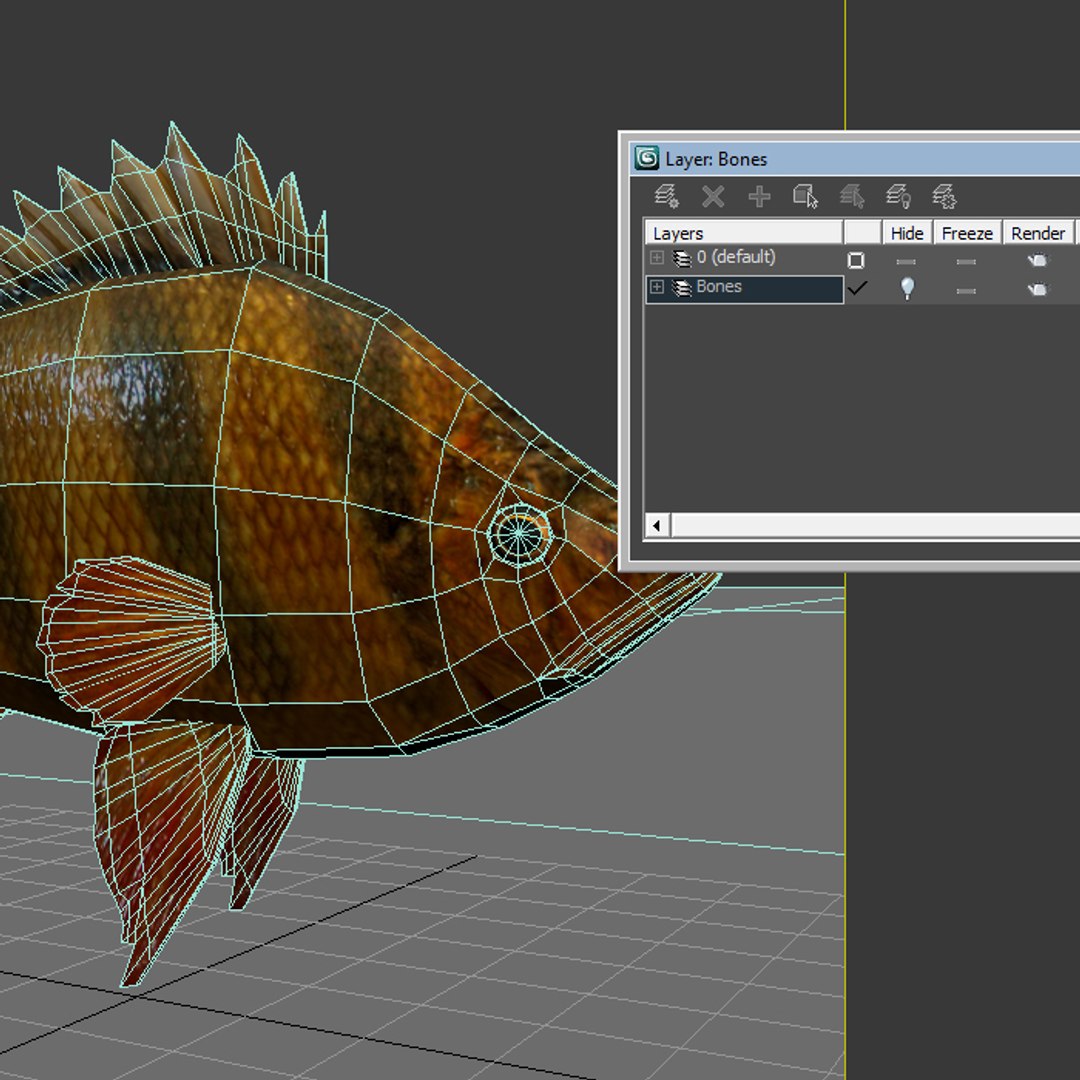 3dsmax Tiger Fish