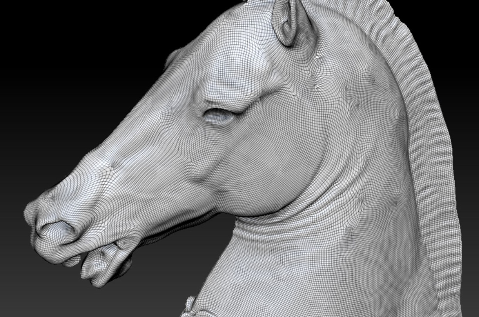 3d Model Horse Head