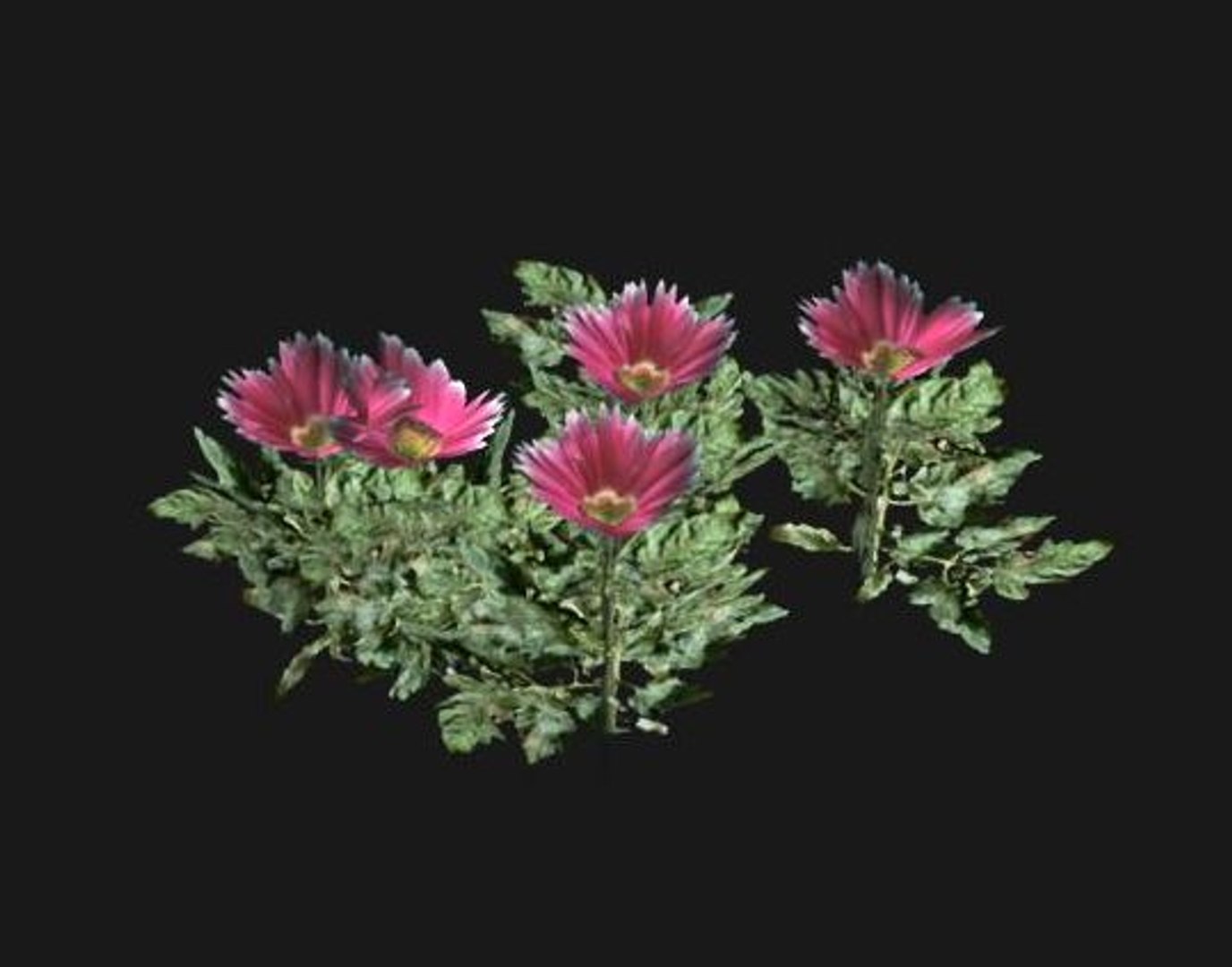 3d model flowers