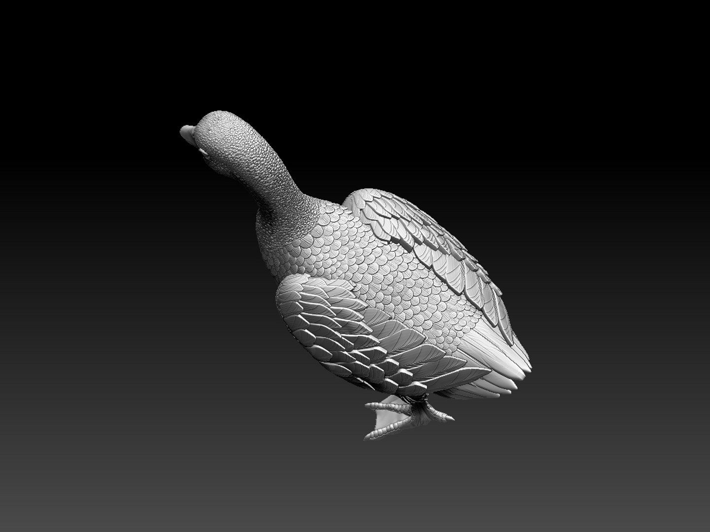 Duck Goose Bird Model - TurboSquid 1647473