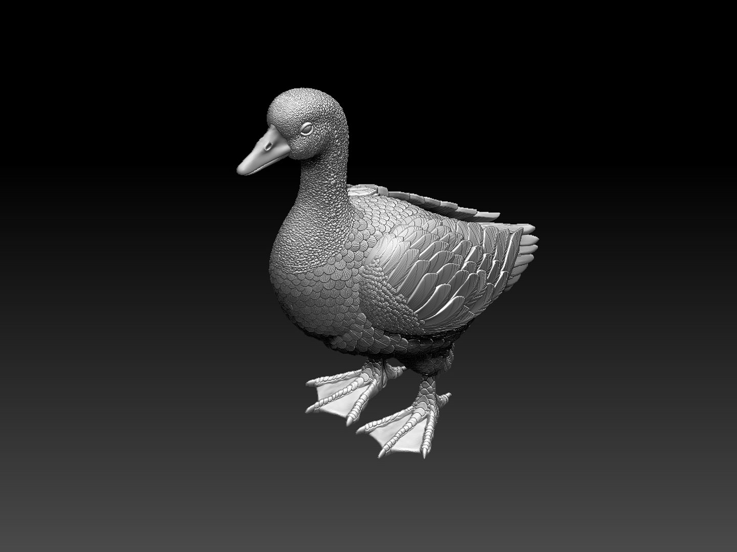 Duck Goose Bird Model - TurboSquid 1647473