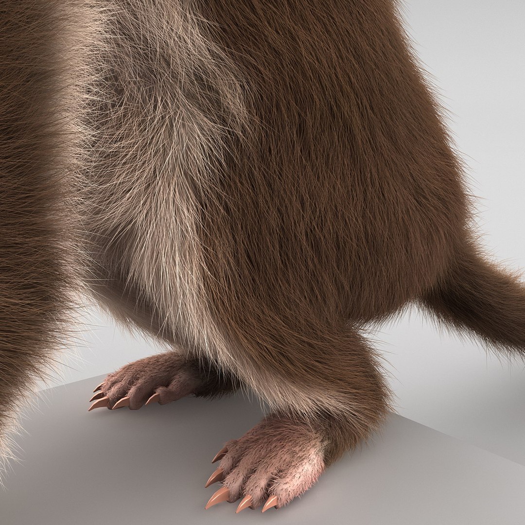 3d model weasel rigged fur