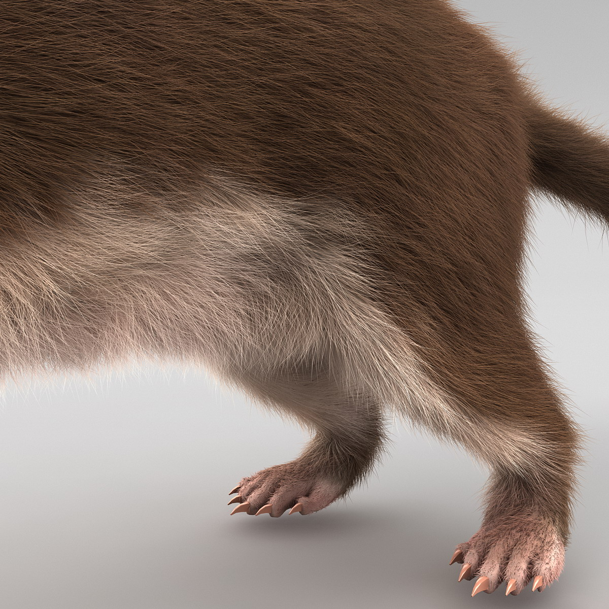 3d model weasel rigged fur