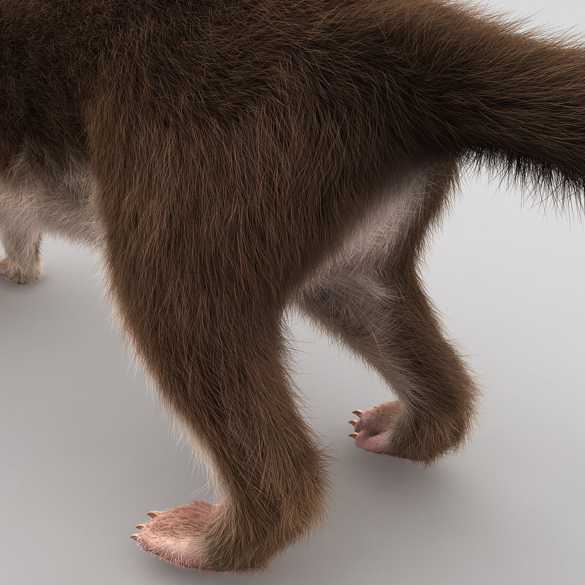 3d model weasel rigged fur