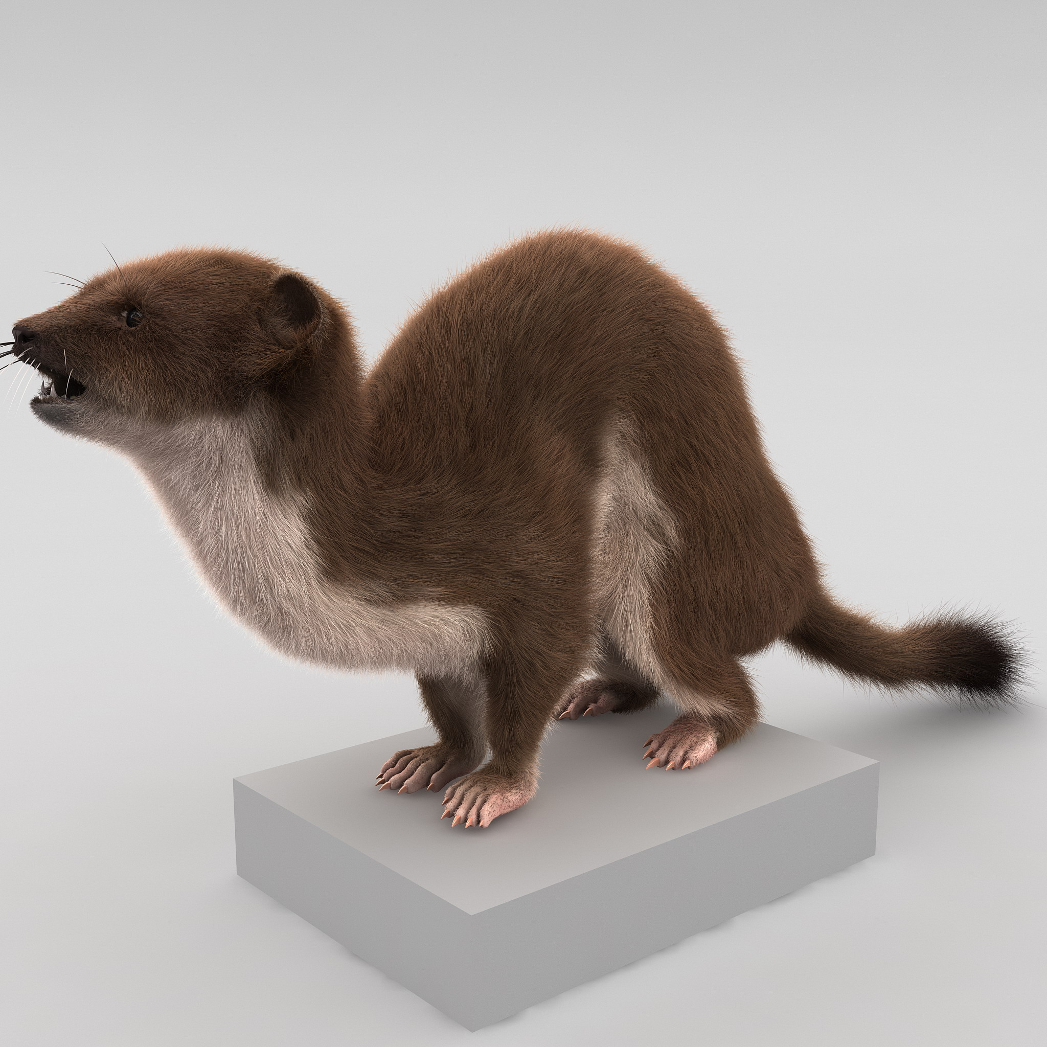 3d model weasel rigged fur