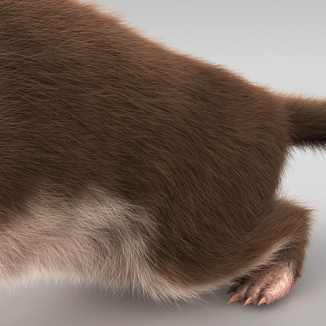 3d model weasel rigged fur