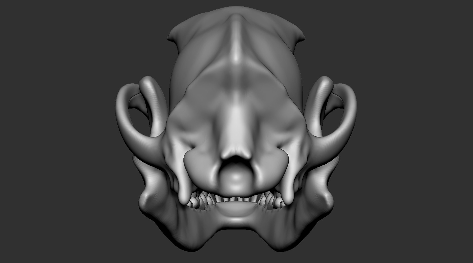 Dog Skull Anatomy Animal 3D Model - TurboSquid 1472102