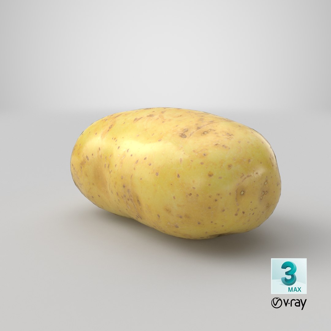3D Model Potato Clean Ready 03 - TurboSquid 1434295