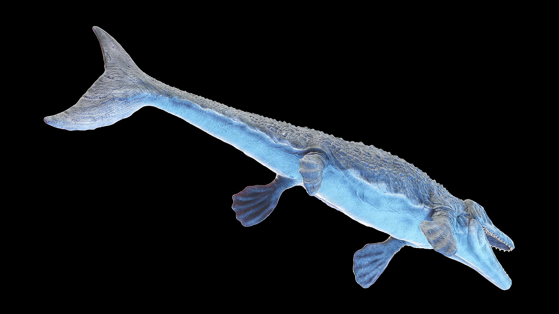 3D Mosasaurus - TurboSquid 1577046