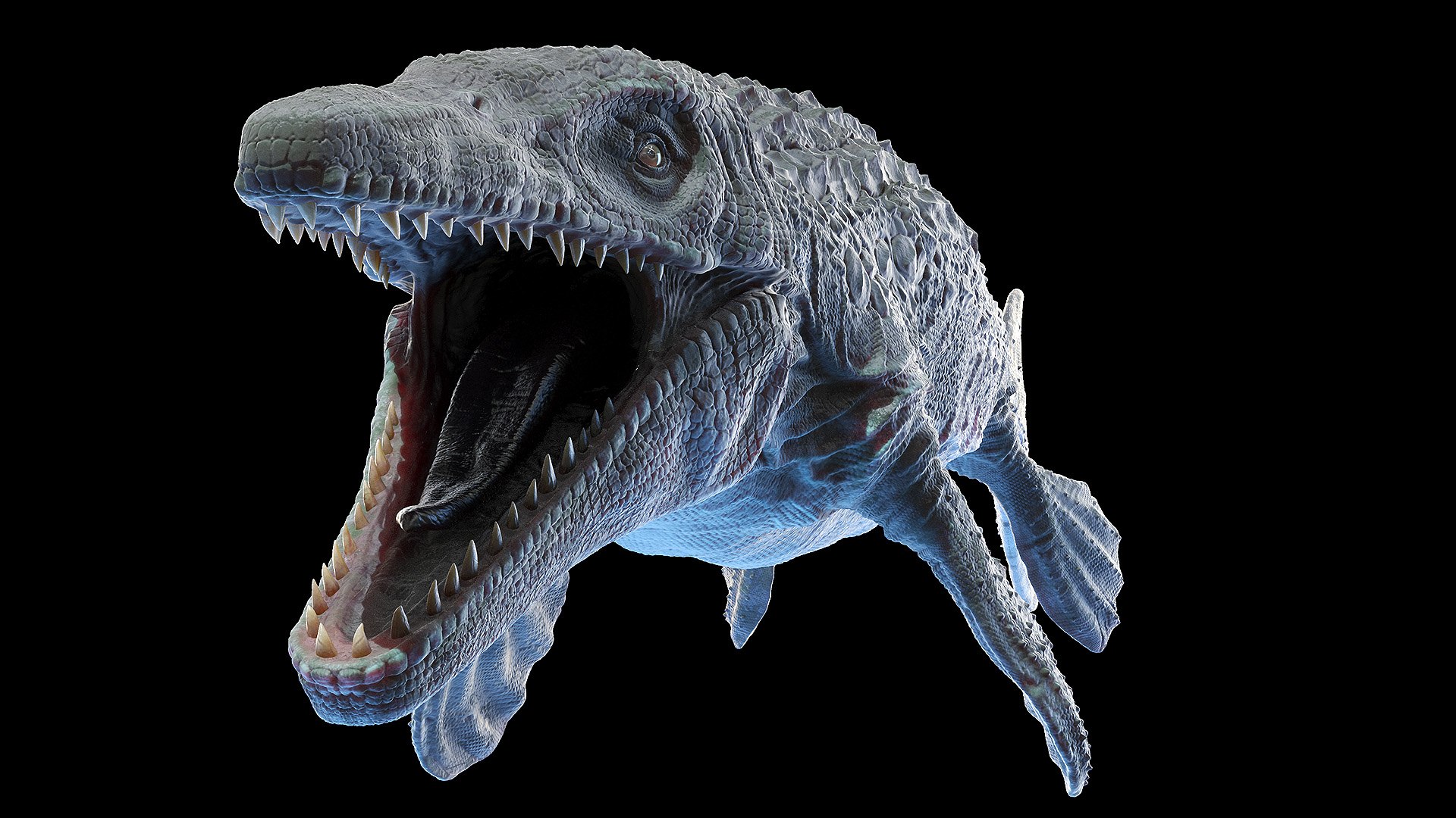 3D Mosasaurus - TurboSquid 1577046