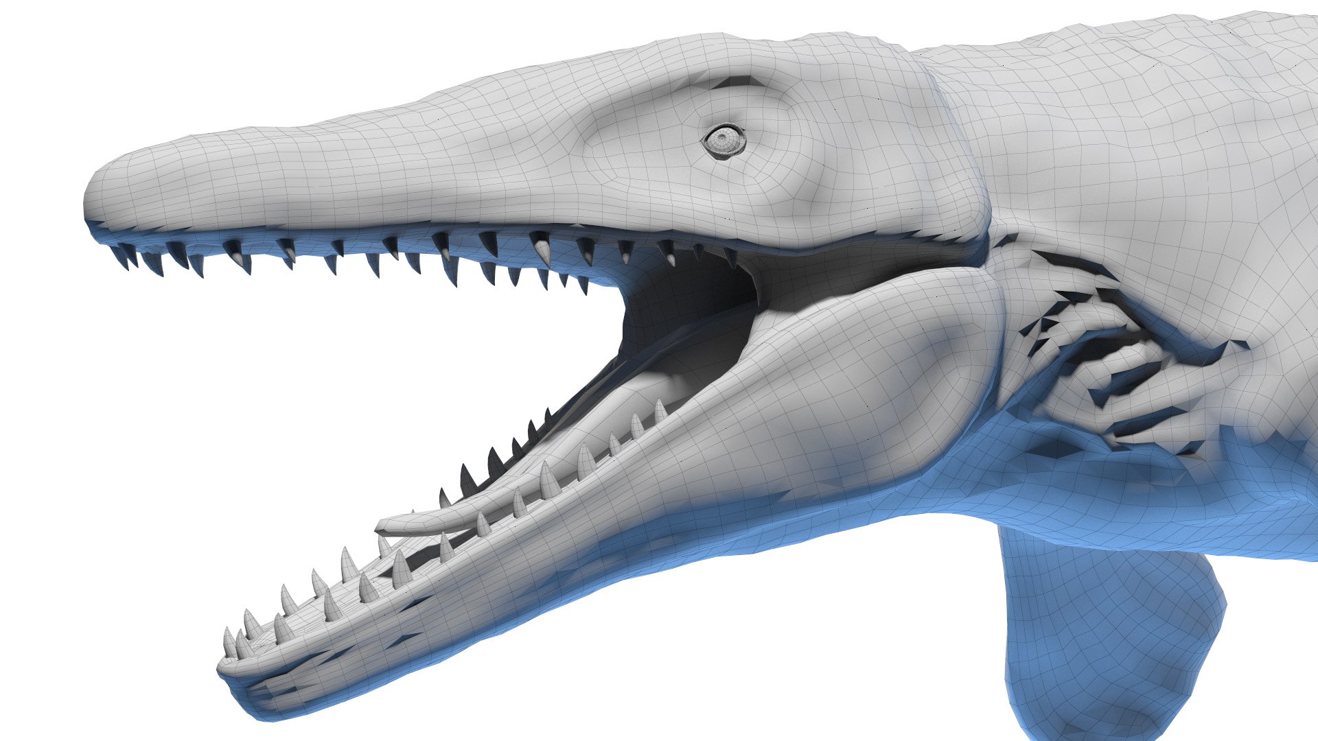 3D Mosasaurus - TurboSquid 1577046