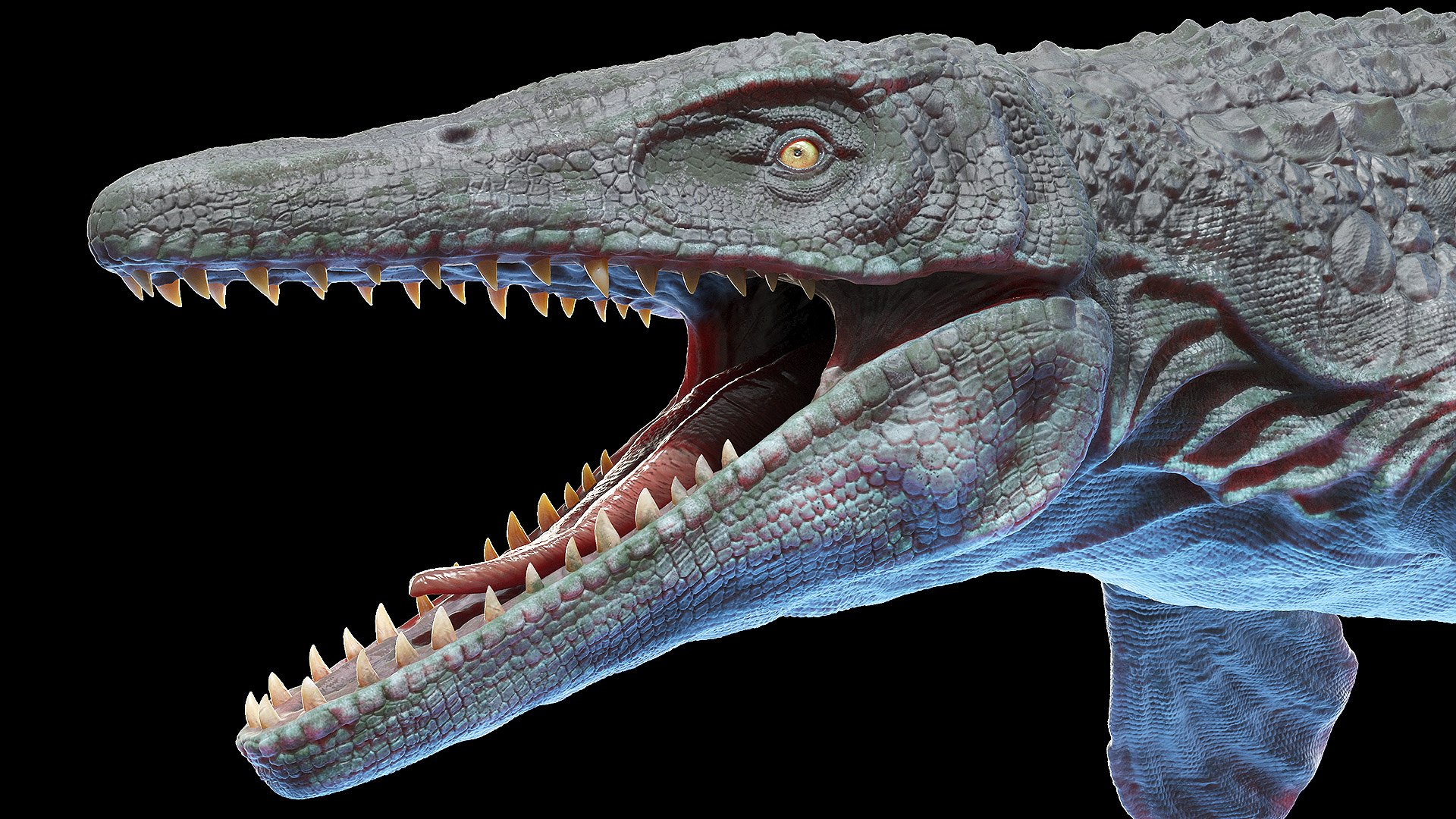 3D Mosasaurus - TurboSquid 1577046