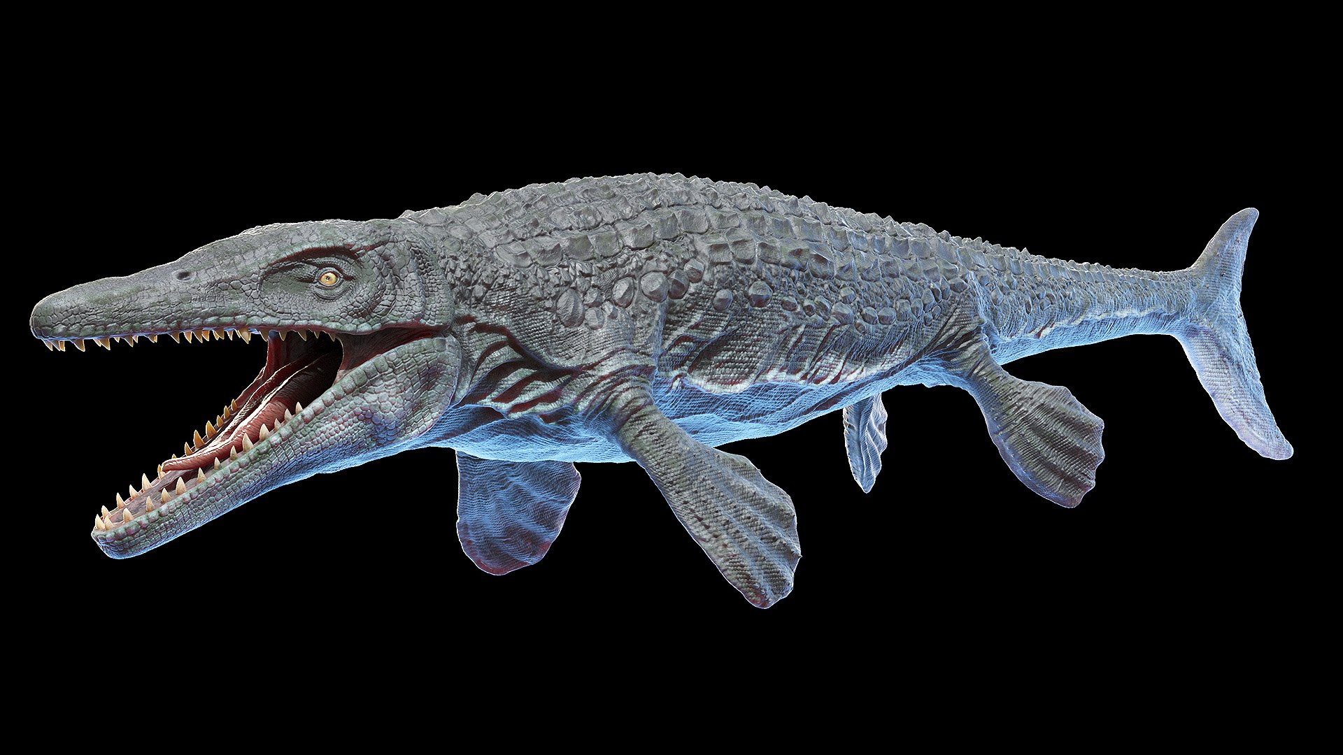3D Mosasaurus - TurboSquid 1577046