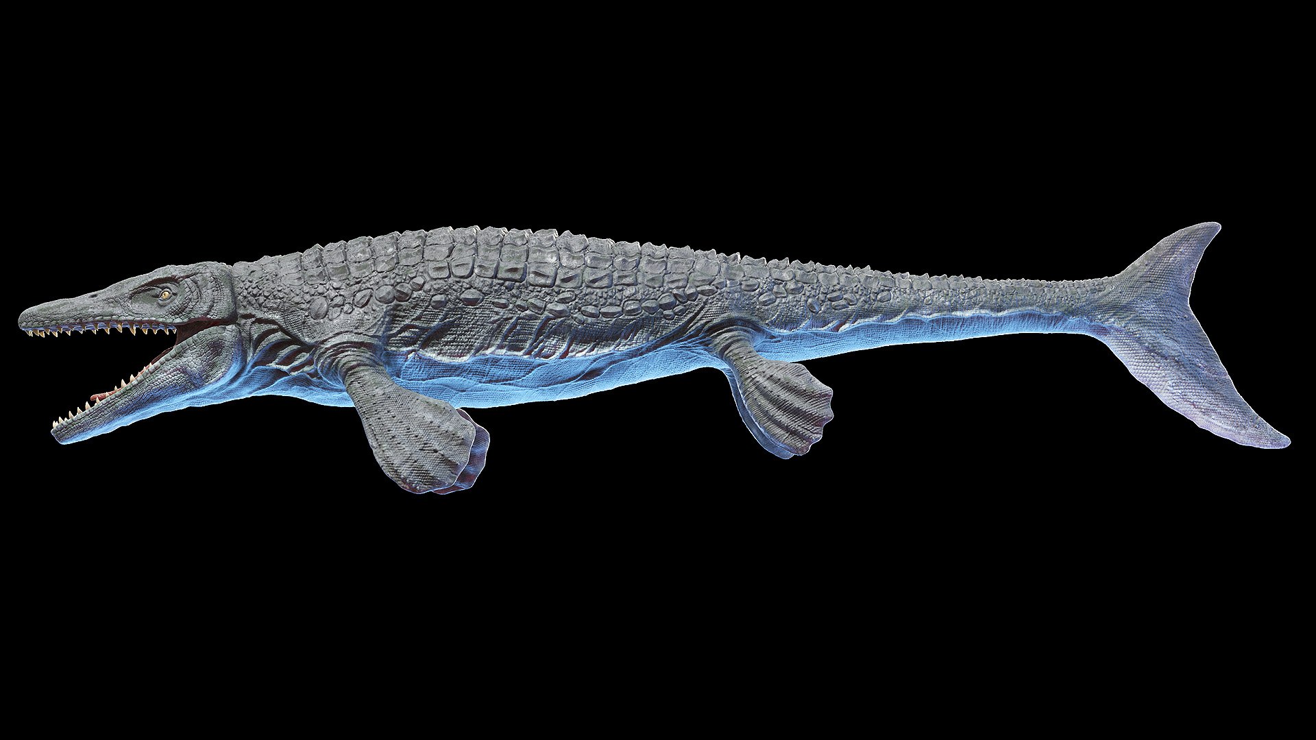 3D Mosasaurus - TurboSquid 1577046