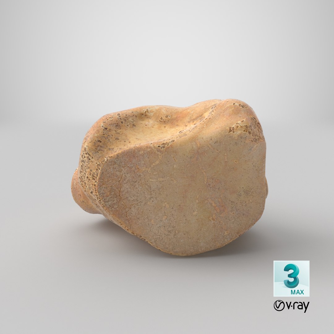 3D Cuboid Bone 01 Model - TurboSquid 1506098