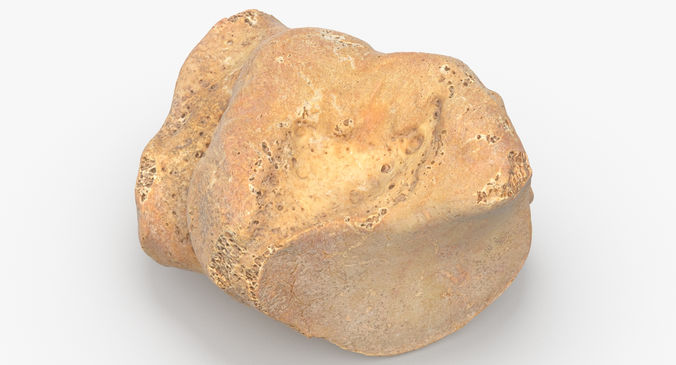 modelo 3d Hueso cuboide real 01 - TurboSquid 1506098