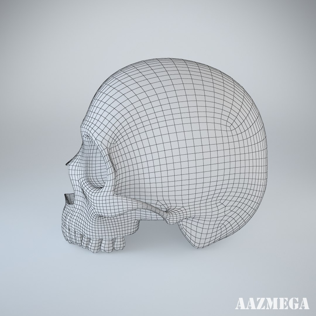 Photorealistic Human Skull Max
