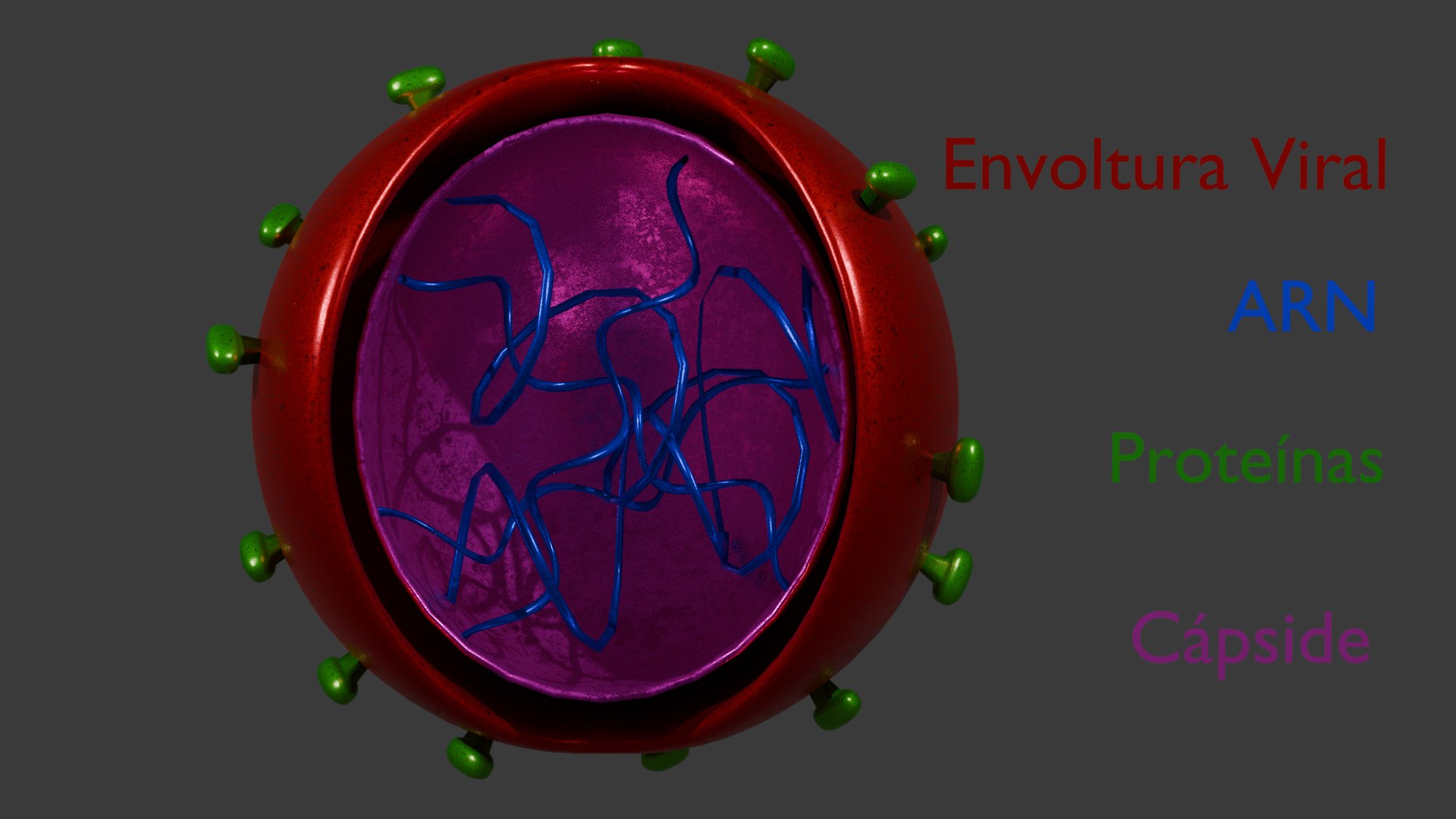 3D Virus 3D - TurboSquid 2281075