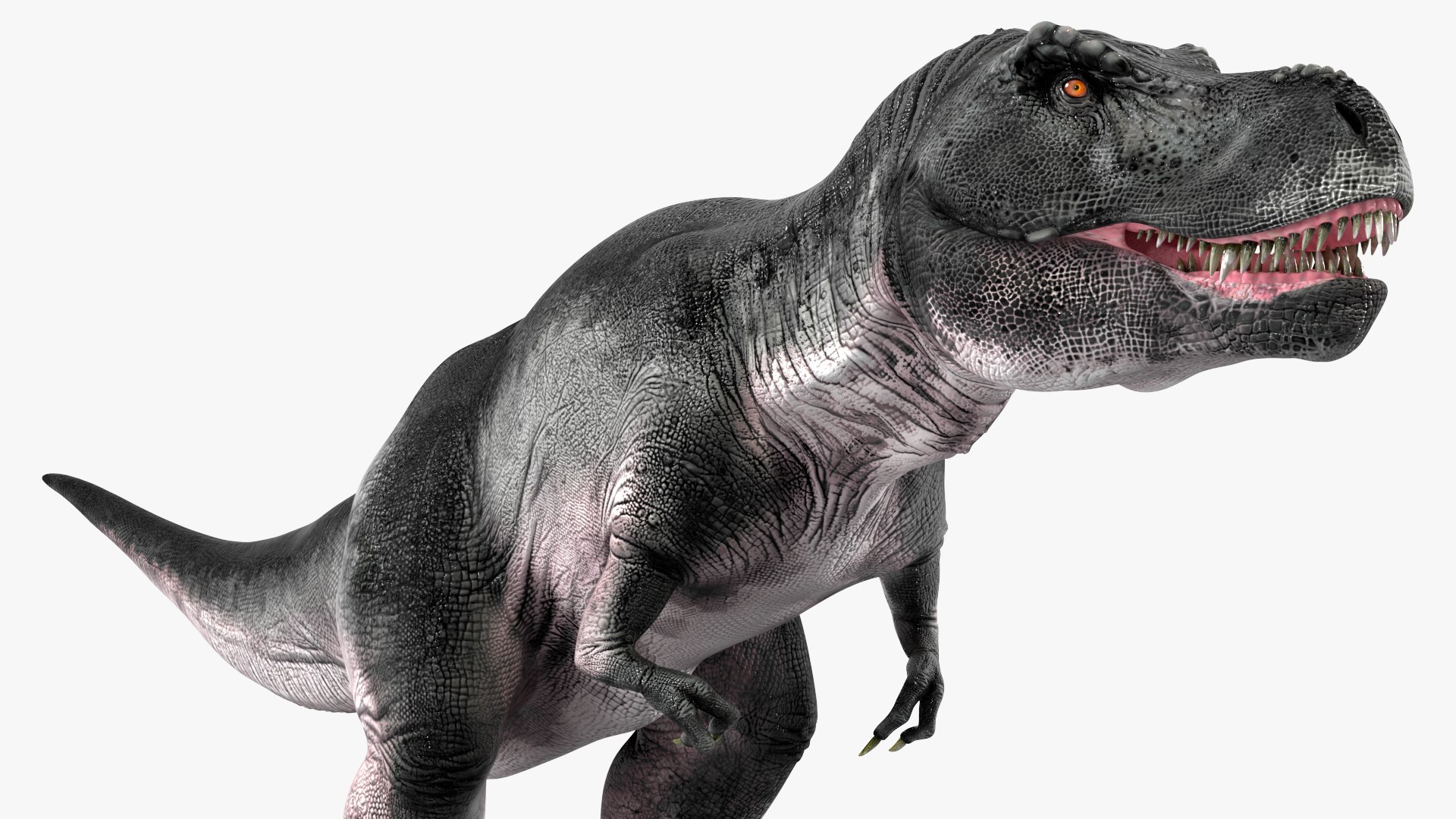 T Rex Idle Animated Rigged 3D model - TurboSquid 2102899