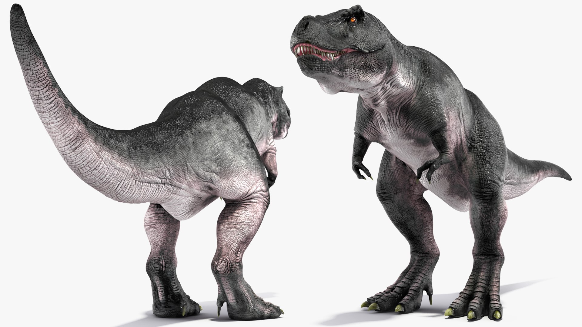 T Rex Idle Animated Rigged 3D model - TurboSquid 2102899