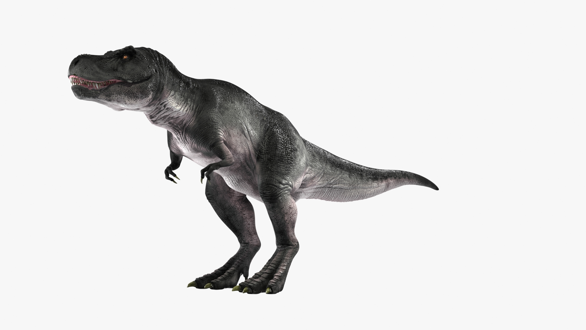 T Rex Idle Animated Rigged 3D Model - TurboSquid 2102899