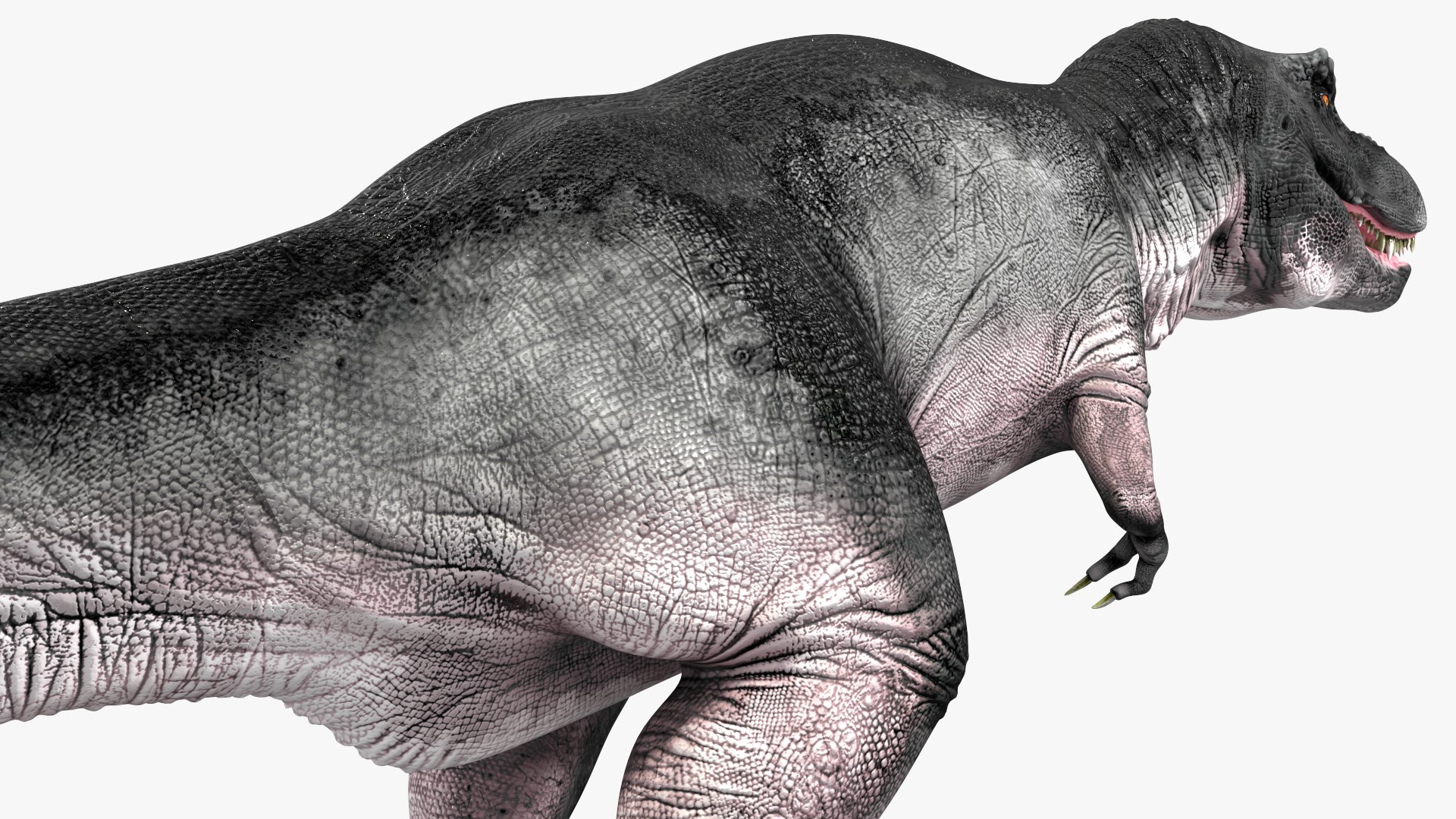 T Rex Idle Animated Rigged 3D model - TurboSquid 2102899