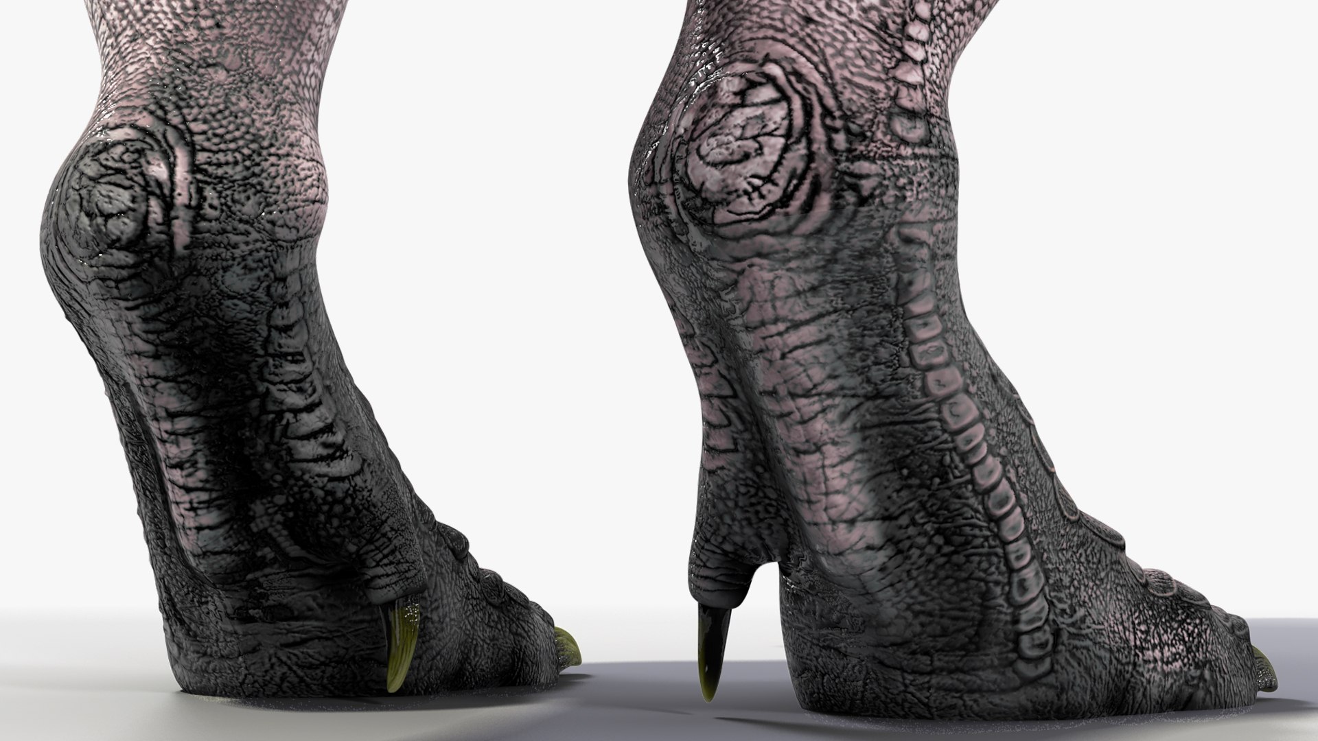 T Rex Idle Animated Rigged 3D model - TurboSquid 2102899