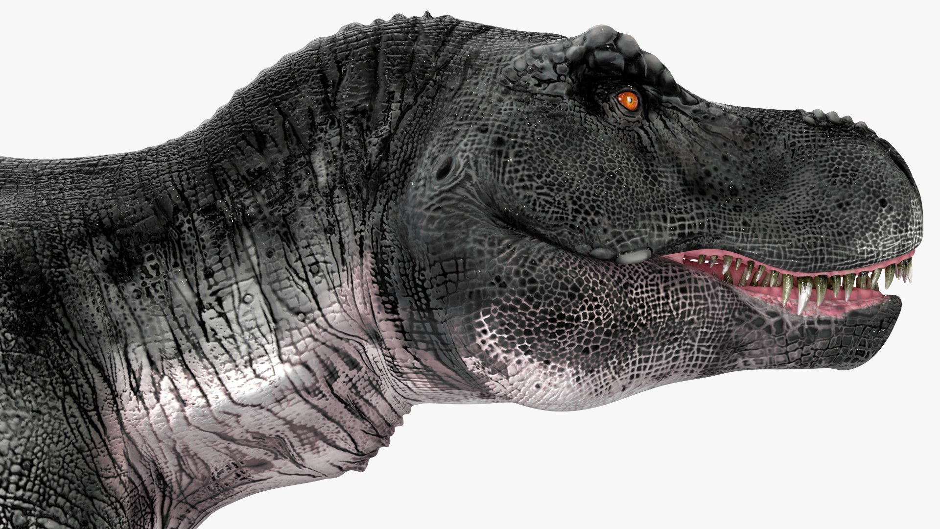 T Rex Idle Animated Rigged 3D model - TurboSquid 2102899