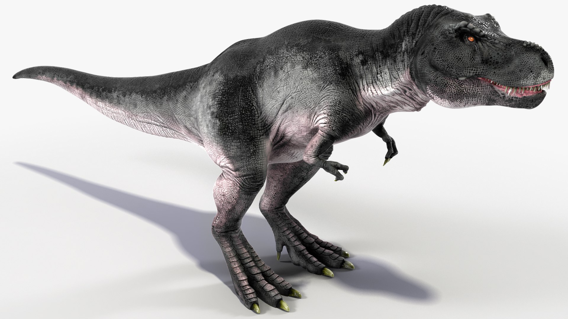 T Rex Idle Animated Rigged 3D model - TurboSquid 2102899
