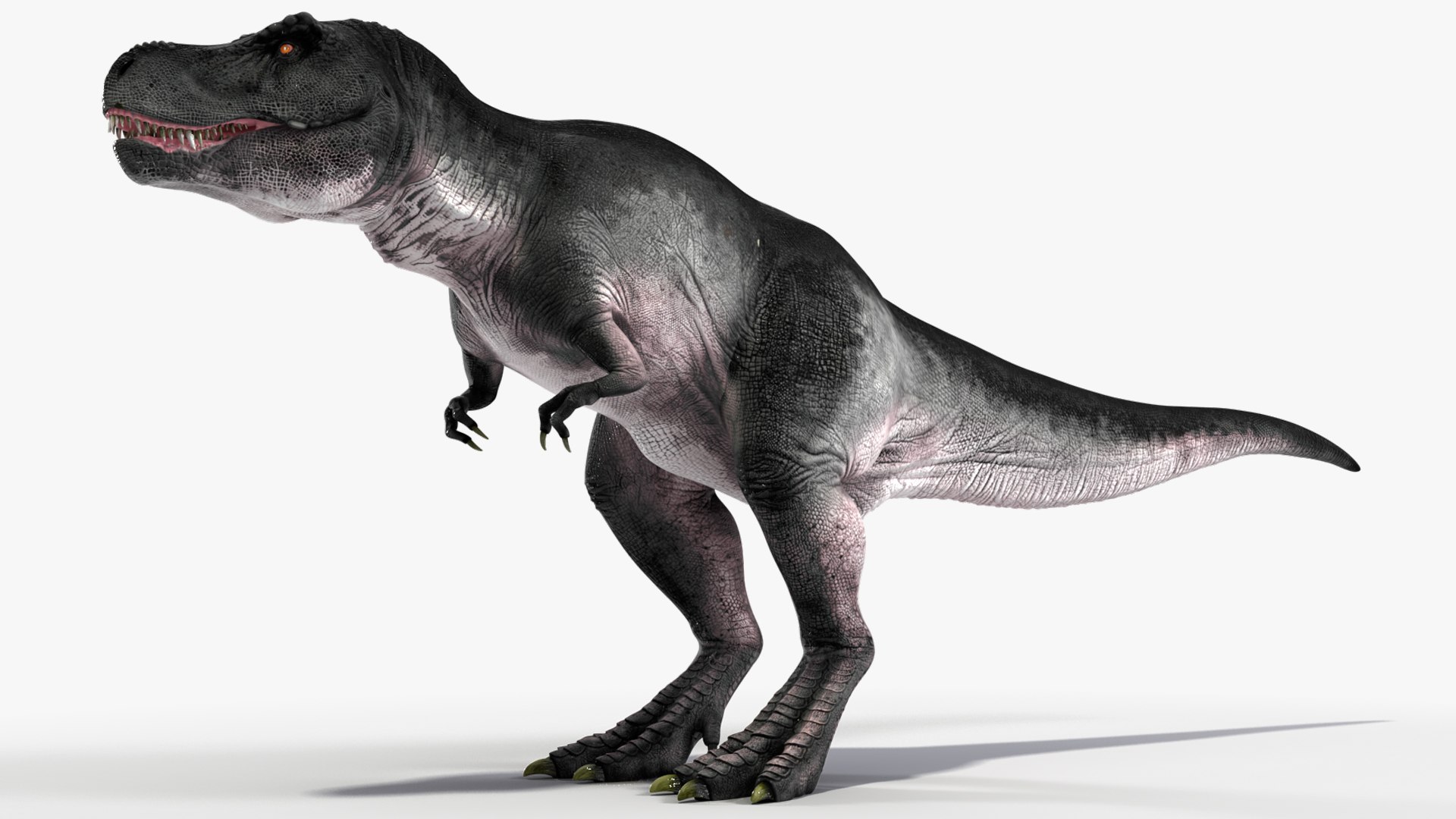 T Rex Idle Animated Rigged 3D model - TurboSquid 2102899